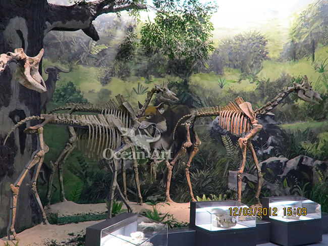 life size museum animal skeleton from China manufacturer - Zigong Dino ...